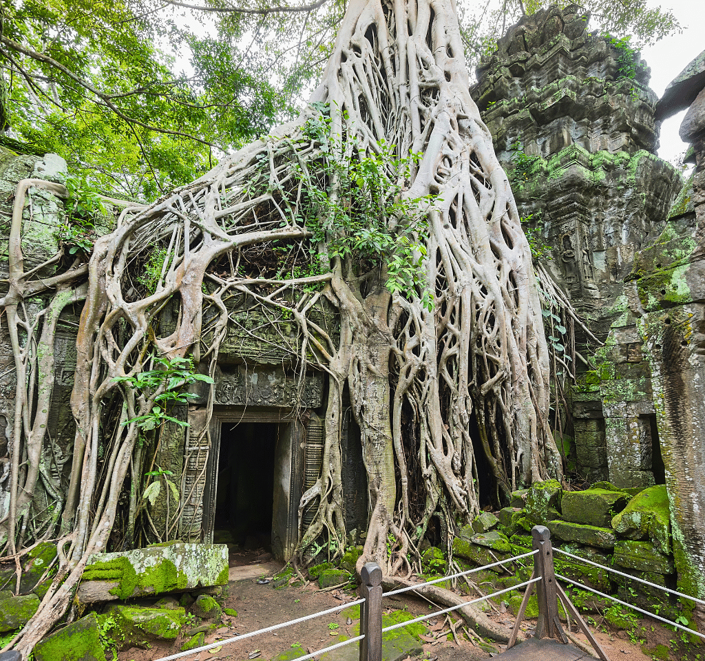 Ta Prohm - Visits Cambodia - Visits Cambodia